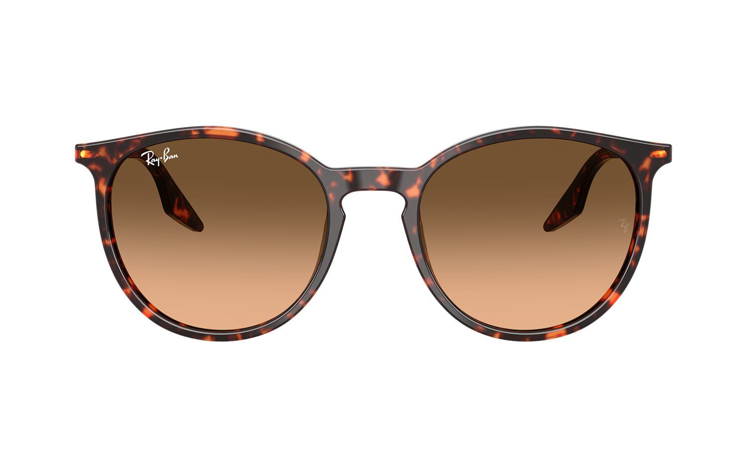 Ray-Ban RB2204 14293B 54 Sunglasses | Glasses Station