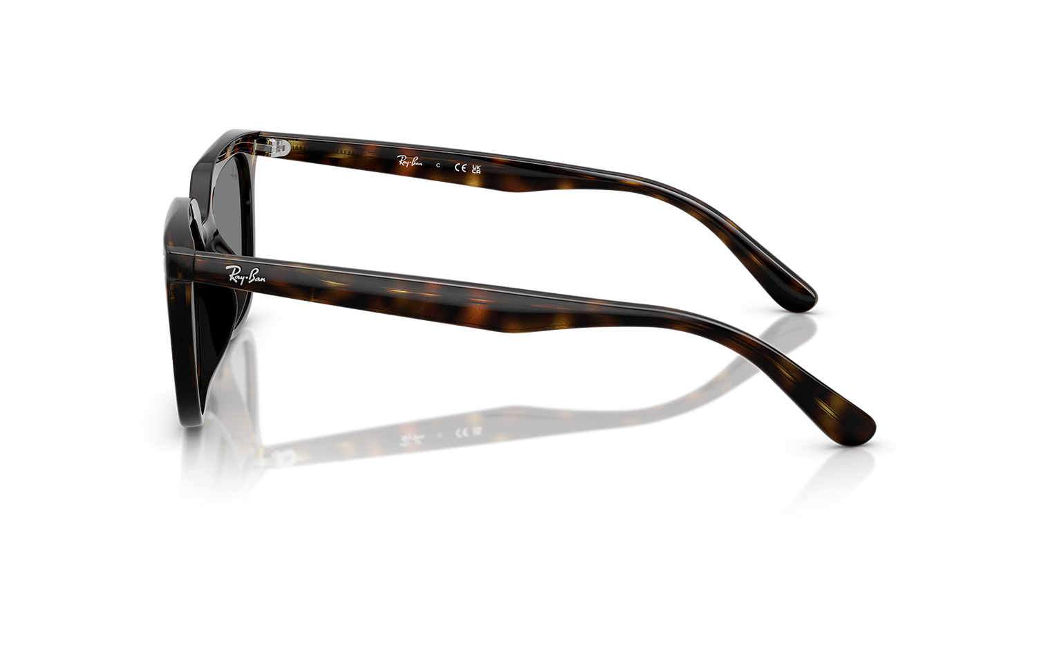 Ray-Ban RB4439D 710/87 54 Sunglasses | Glasses Station